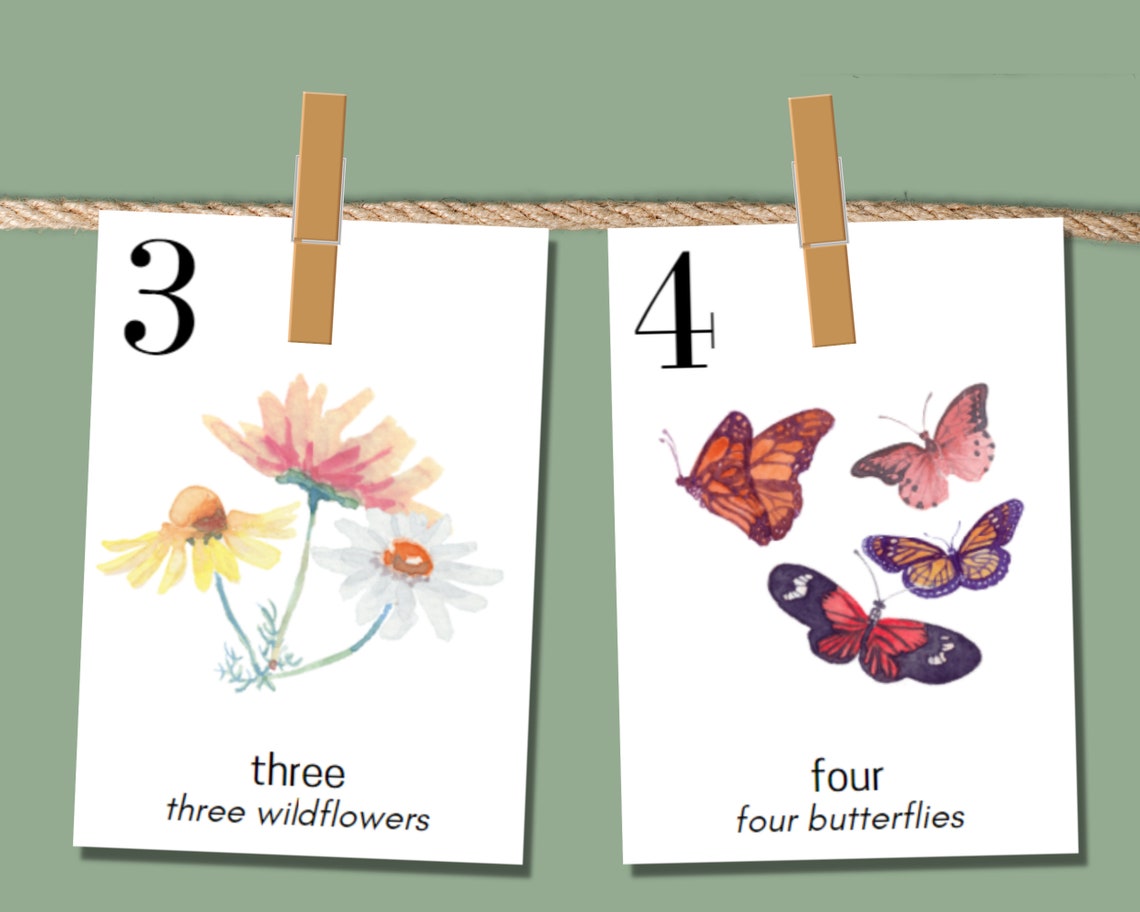 Charlotte Mason Preschool Counting Flashcards Nature Number - Etsy