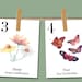 Charlotte Mason Preschool Counting Flashcards Nature Number - Etsy