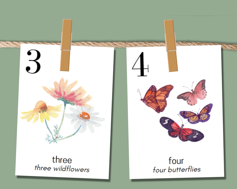 Charlotte Mason Preschool Counting Flashcards | Nature Number Cards 1 ...