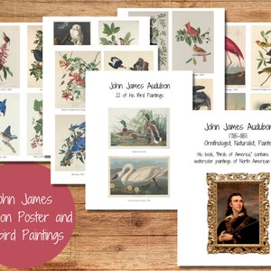 Charlotte Mason Morning Time | Birds Morning Basket Resources ...