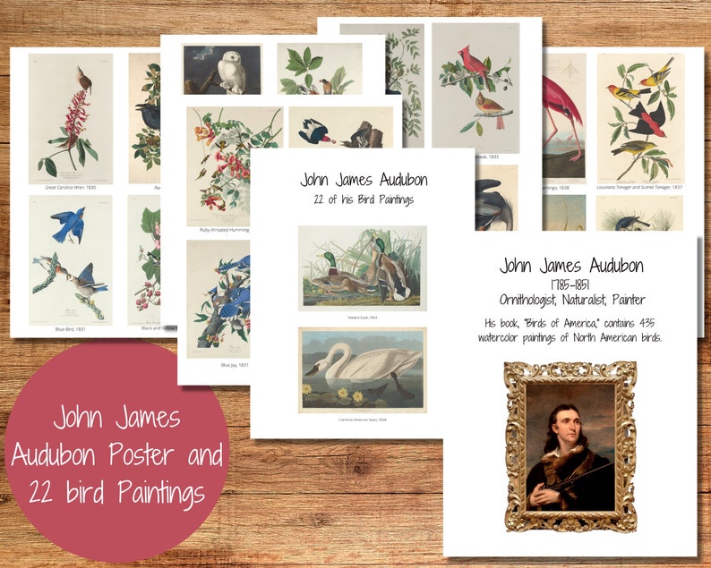 Charlotte Mason Morning Time Birds Morning Basket Resources - Etsy