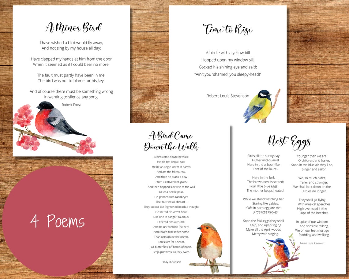 Charlotte Mason Morning Time Birds Morning Basket Resources - Etsy