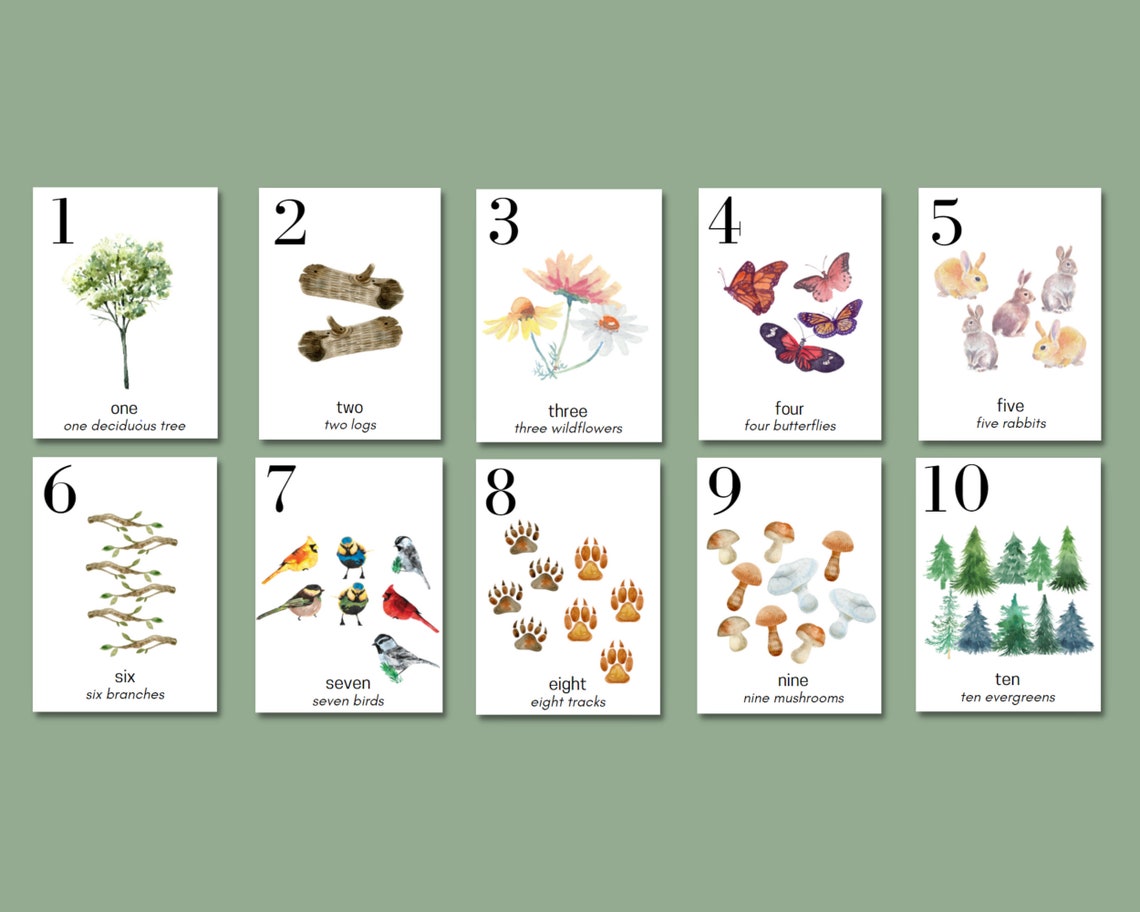 Charlotte Mason Preschool Counting Flashcards Nature Number - Etsy