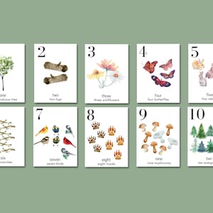 Charlotte Mason Preschool Counting Flashcards | Nature Number Cards 1 ...