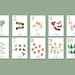 Charlotte Mason Preschool Counting Flashcards Nature Number - Etsy