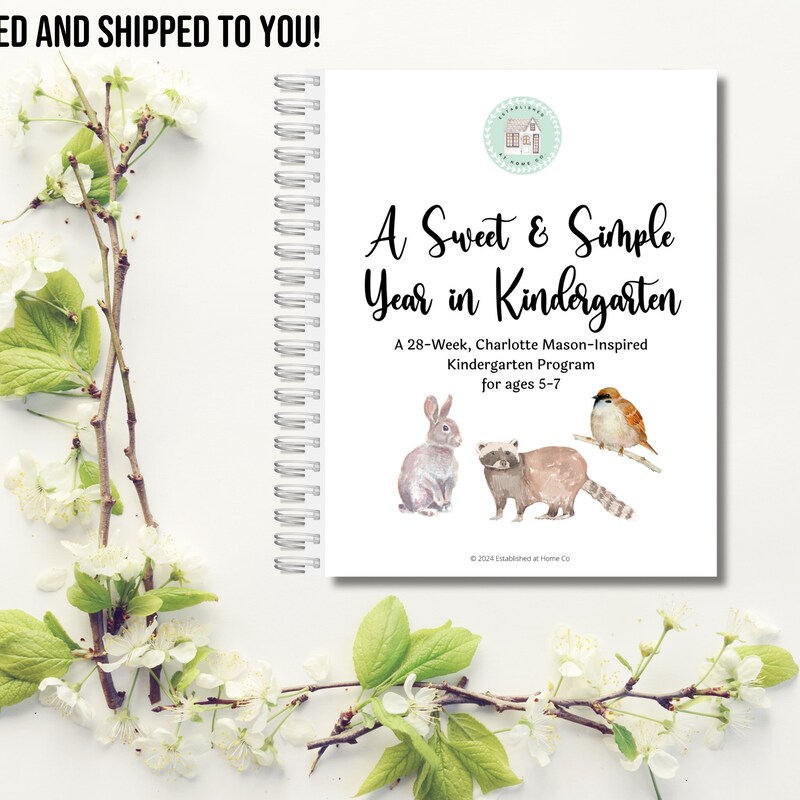 Kindergarten Homeschool - Etsy