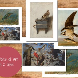 Charlotte Mason Morning Time | Birds Morning Basket Resources ...