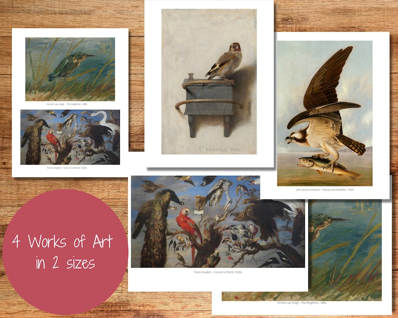 Charlotte Mason Morning Time | Birds Morning Basket Resources ...
