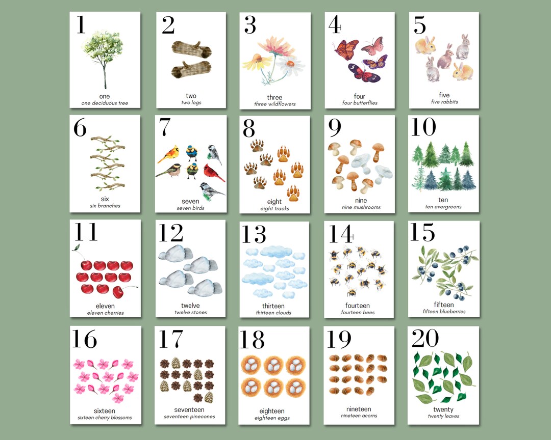 Tarjetas didácticas de conteo preescolar de Charlotte Mason / Tarjetas ...