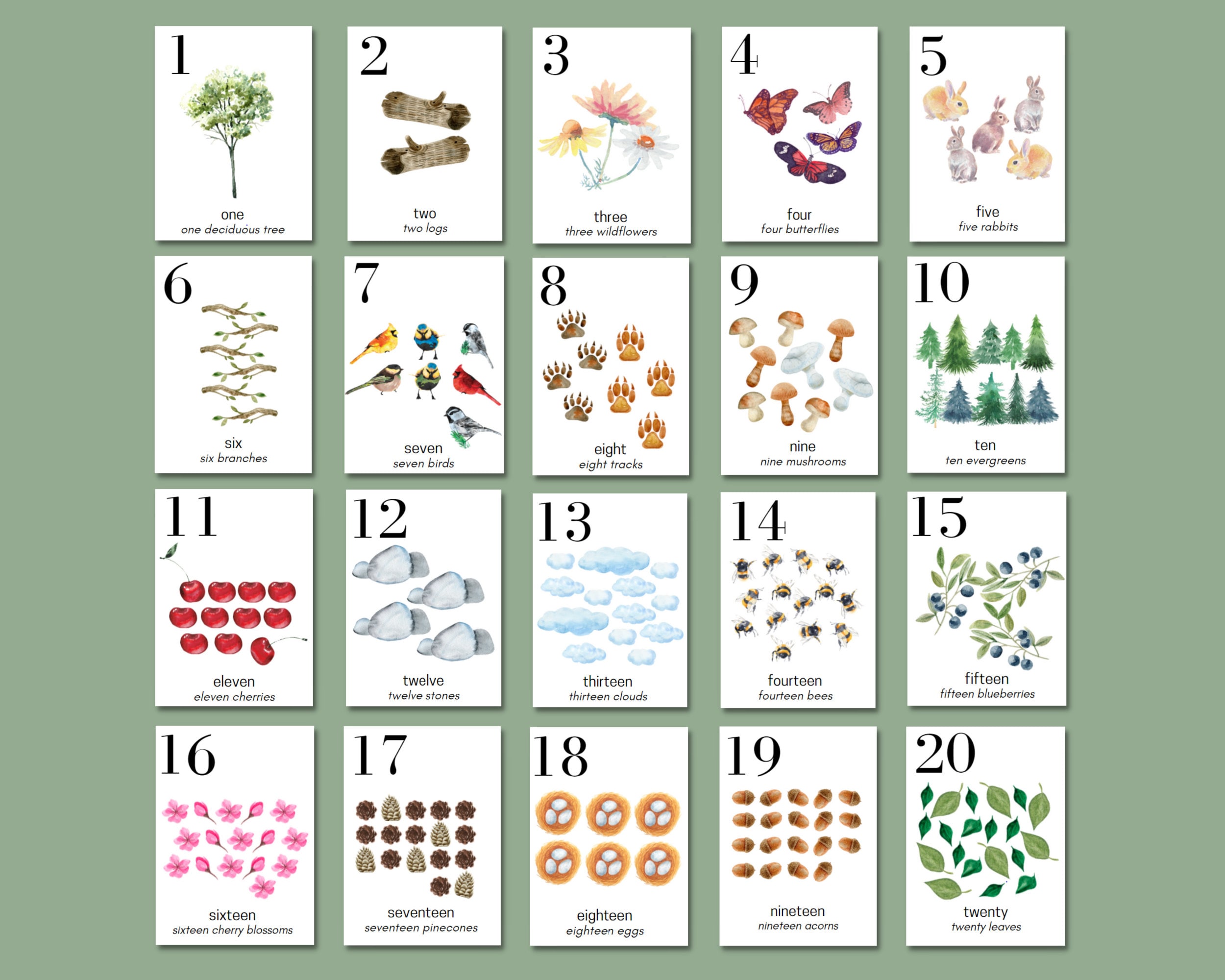 Tarjetas didácticas de conteo preescolar de Charlotte Mason / Tarjetas ...