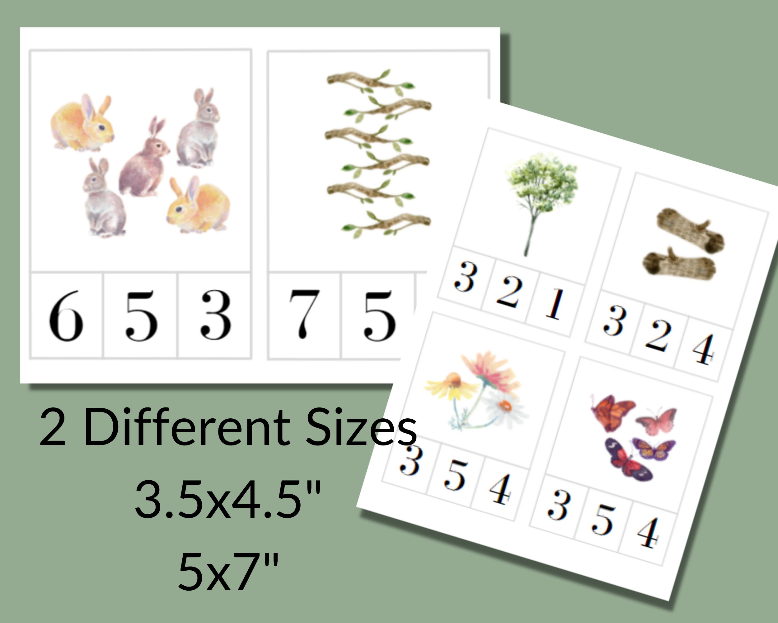 Charlotte Mason Preschool Count and Clip Cards | Nature Number Cards 1 ...
