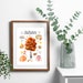 Four Seasons Watercolor Learning Prints | Preschool Seasonal ...