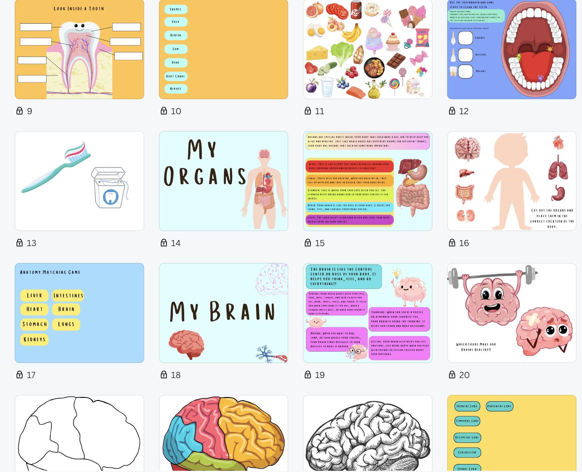 Anatomy Busy Book Bundle for Young Learner & Homeschool With Flashcards ...