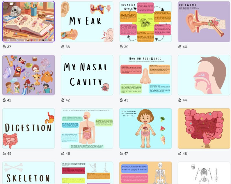 Anatomy Busy Book Bundle for Young Learner & Homeschool With Flashcards ...