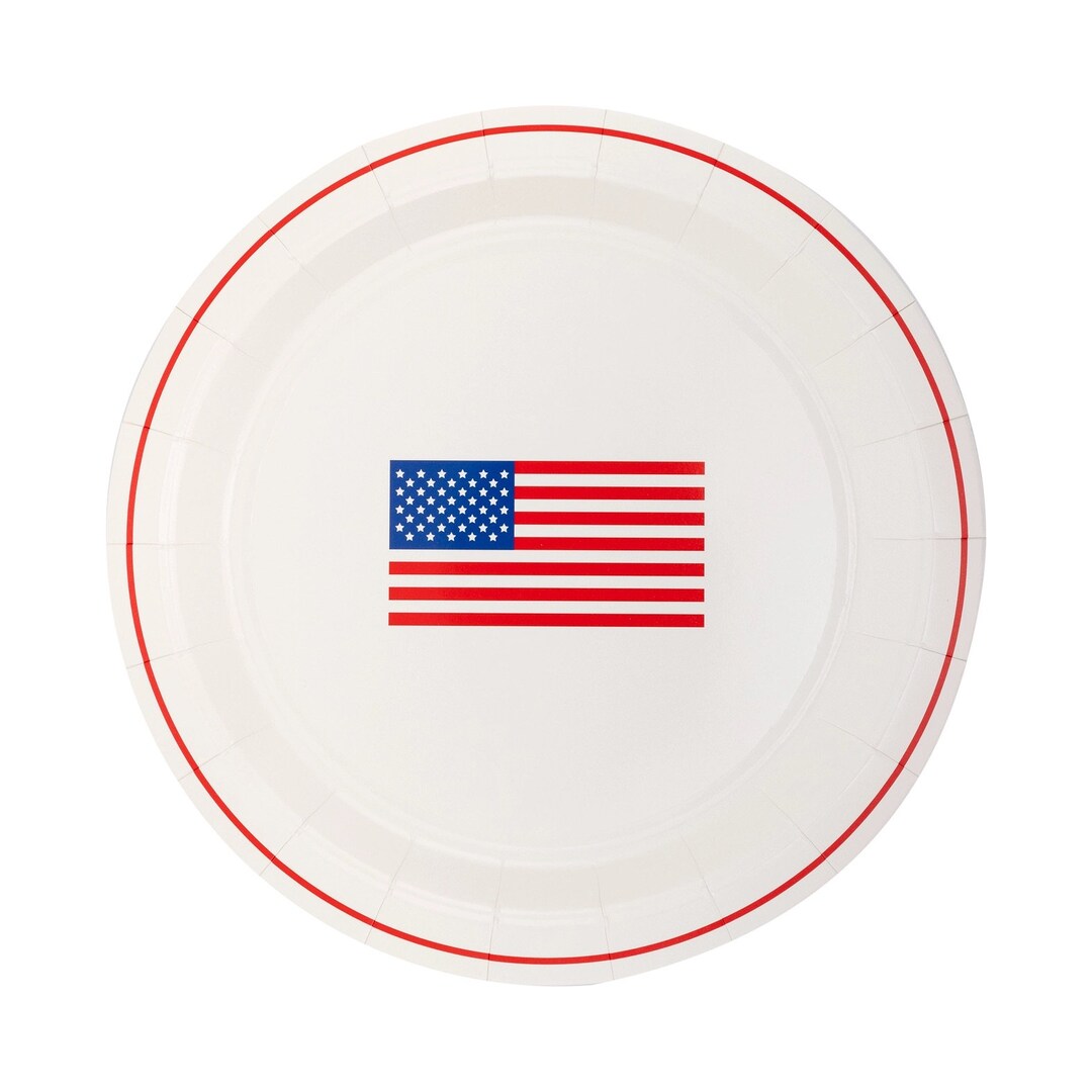 American Flag Paper Plates, Set of 8 4th of July Plates, Olympic Party ...