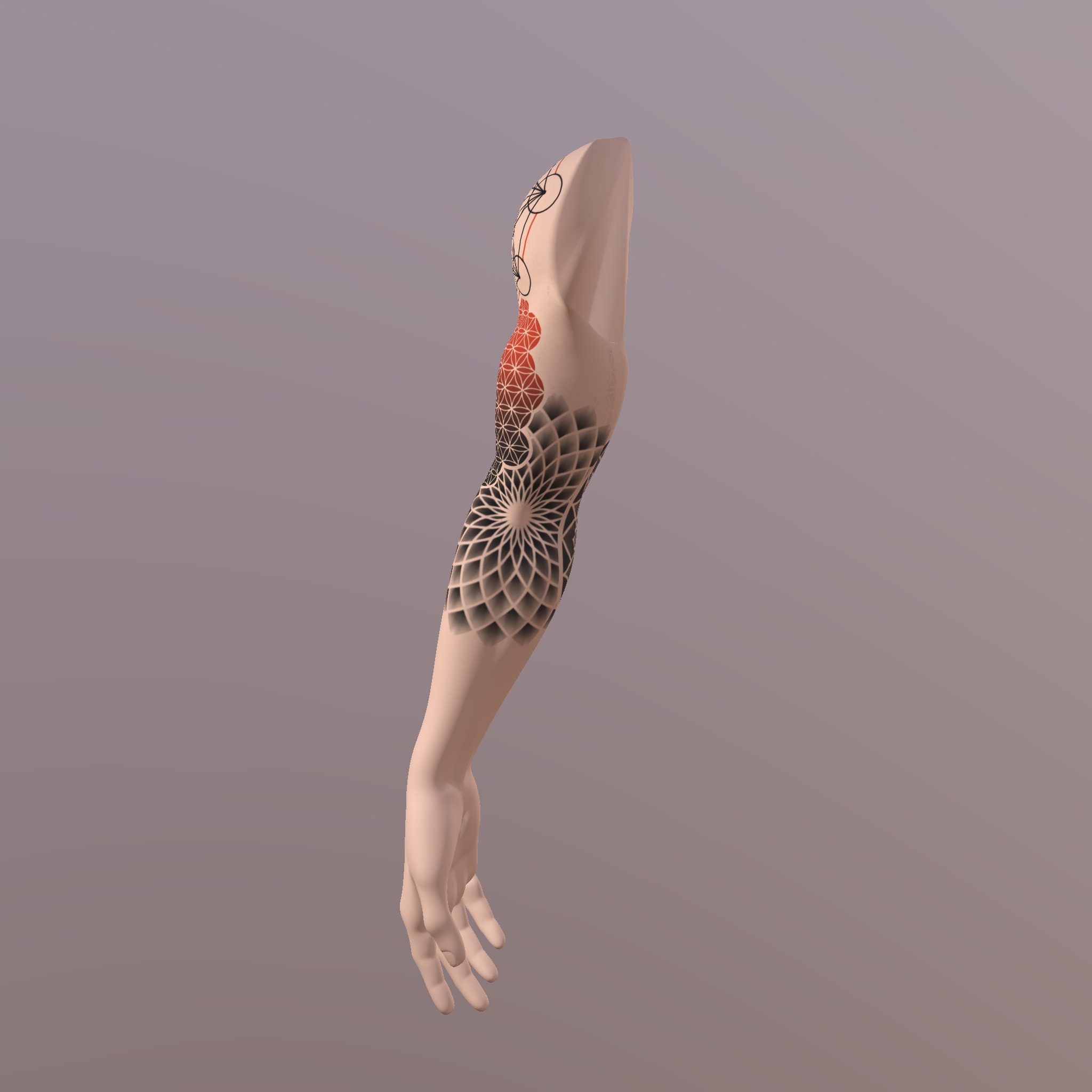 Procreate Brushes 3D Model of Arm Tattoo Body Parts. Shape Posture ...
