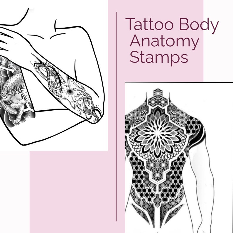 Procreate Brushes + 3D Model of Arm! Tattoo Body Parts. Shape Posture ...