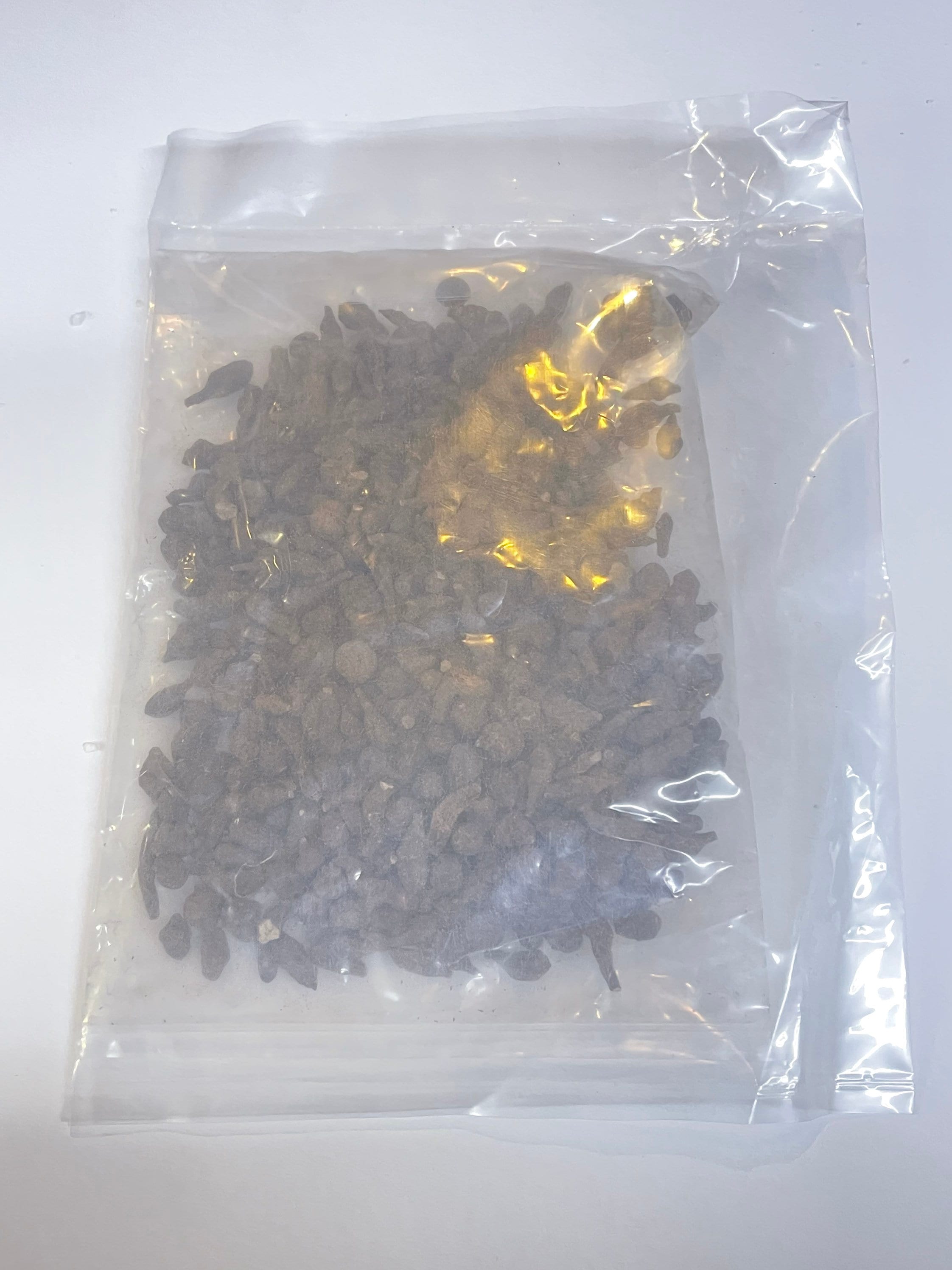 Tibetan Droma, Tibetan Loshar , Tibetan New Year - Etsy