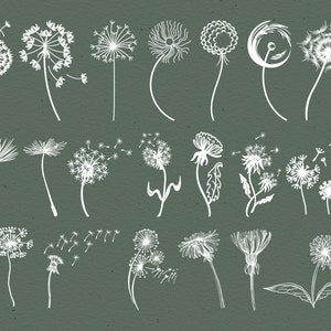 Dandelions Procreate Stamp Brush Set Etsy