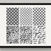 Animal Print Pattern Procreate Brush Set - Etsy