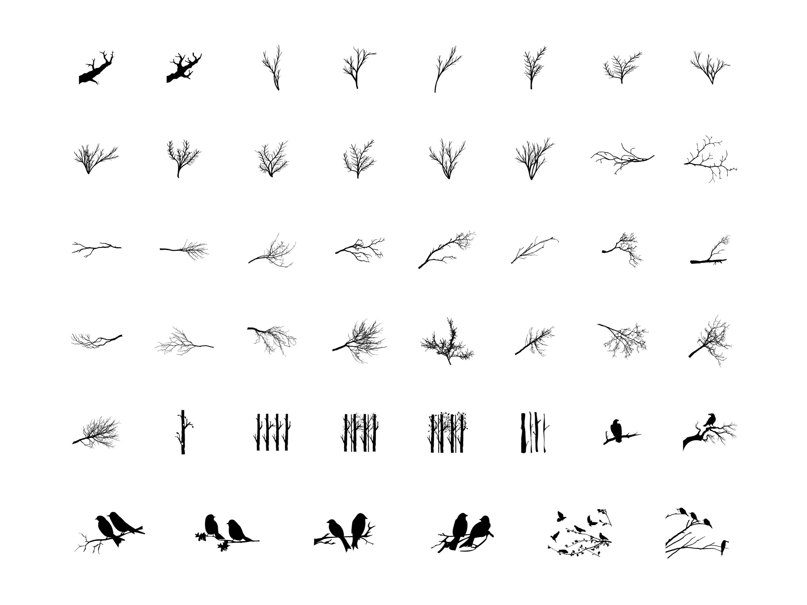 Tree Branches Procreate Stamp Brush Set - Etsy