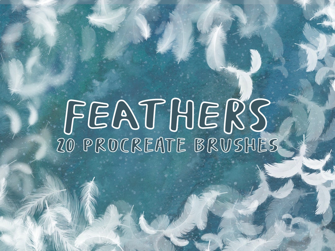Feathers Procreate Brush Set - Etsy