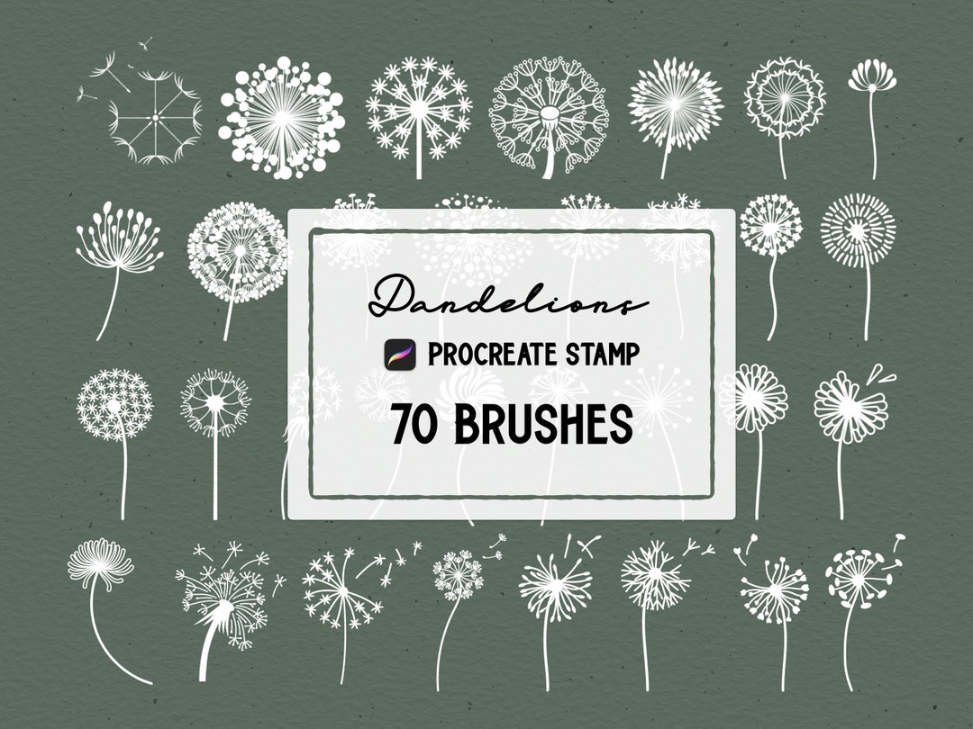 Dandelions Procreate Stamp Brush Set Etsy