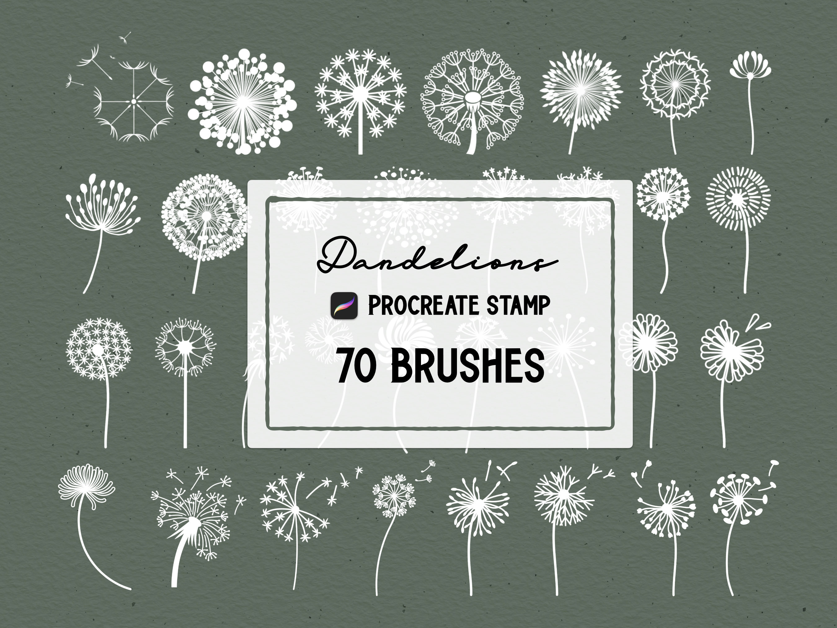 Dandelions Procreate Stamp Brush Set - Etsy