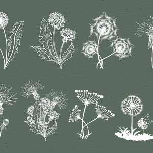 Dandelions Procreate Stamp Brush Set Etsy
