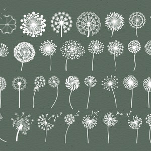 Dandelions Procreate Stamp Brush Set Etsy