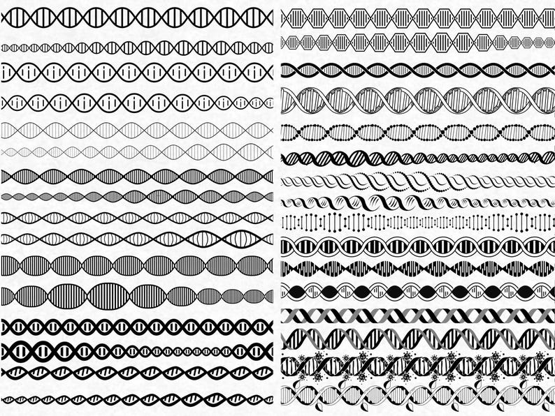DNA Helix Lines Procreate Brush Set - Etsy
