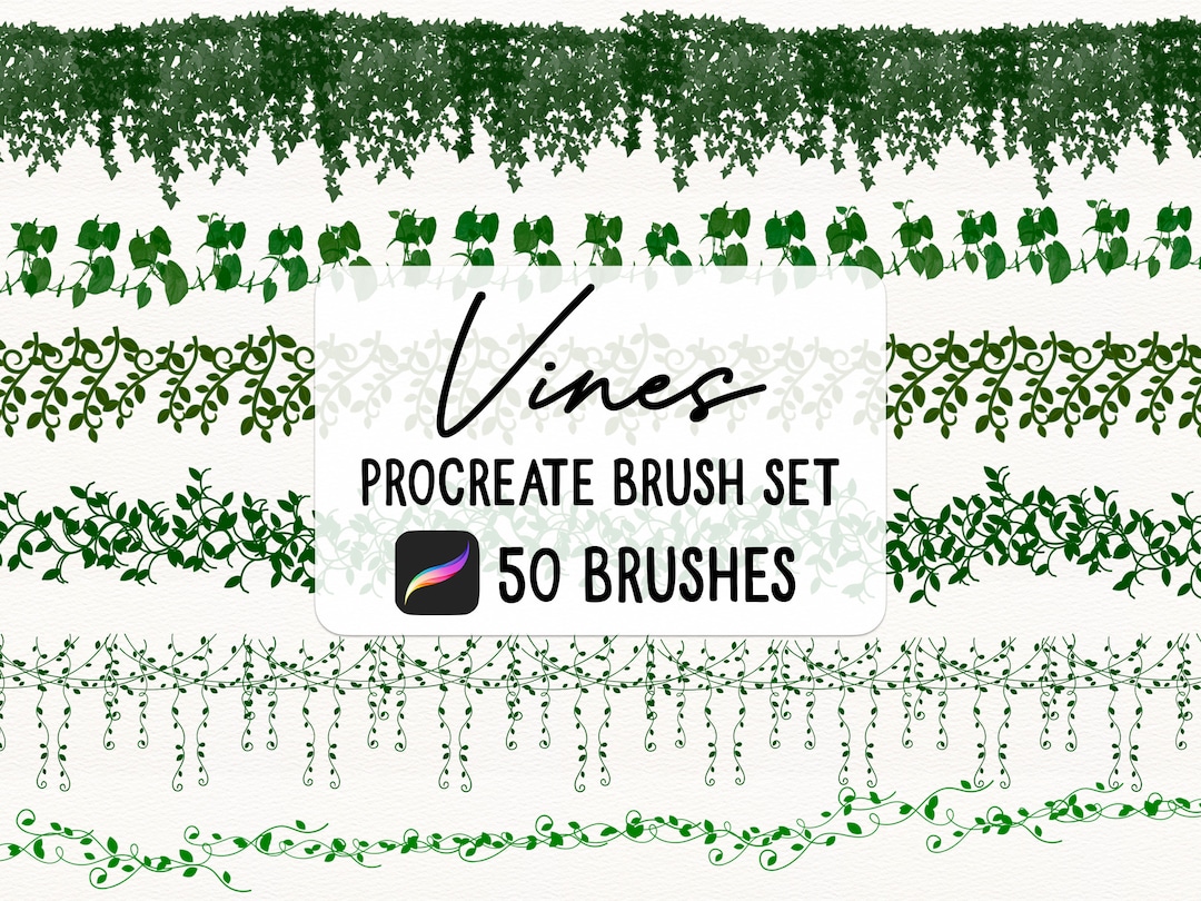 Vine Lines Procreate Brush Set, Foliage Stamp - Etsy