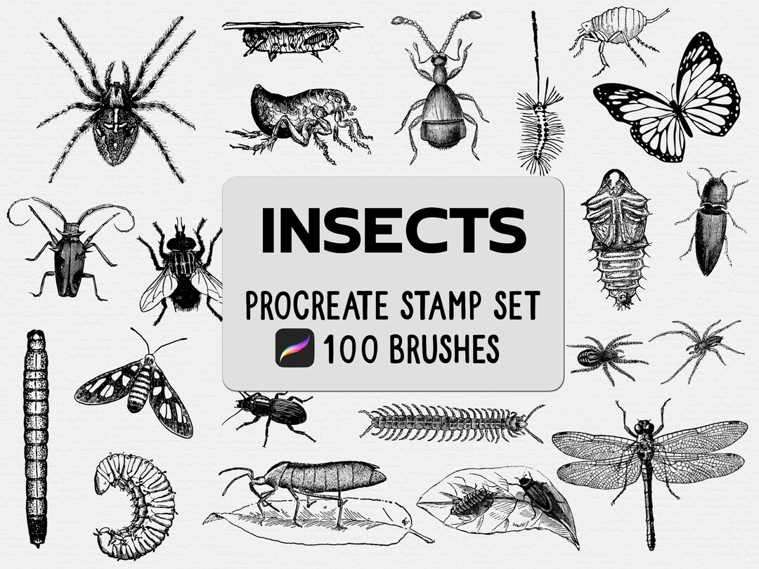 Insects & Bugs Procreate Stamp Brush Set - Etsy