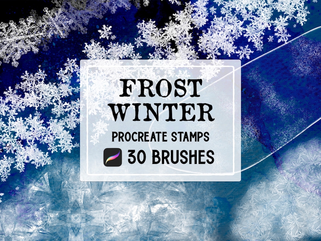 Frost Winter Snowflakes Procreate Brush Set - Etsy