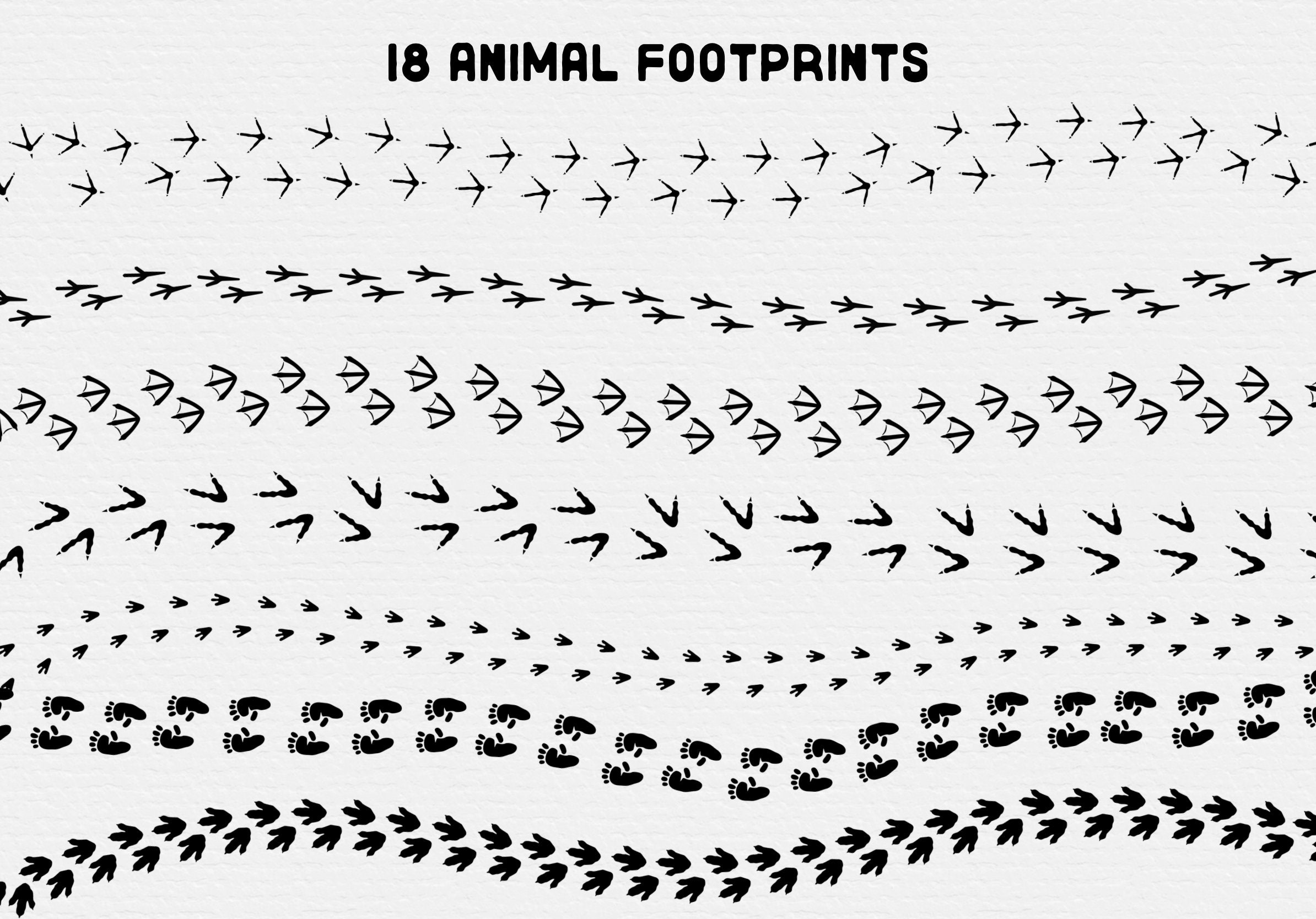 Footprint Procreate Brush Set - Animal, Humans - Etsy