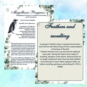Printable Packet Penguin Unit Study for Kids. Printable Holiday's ...