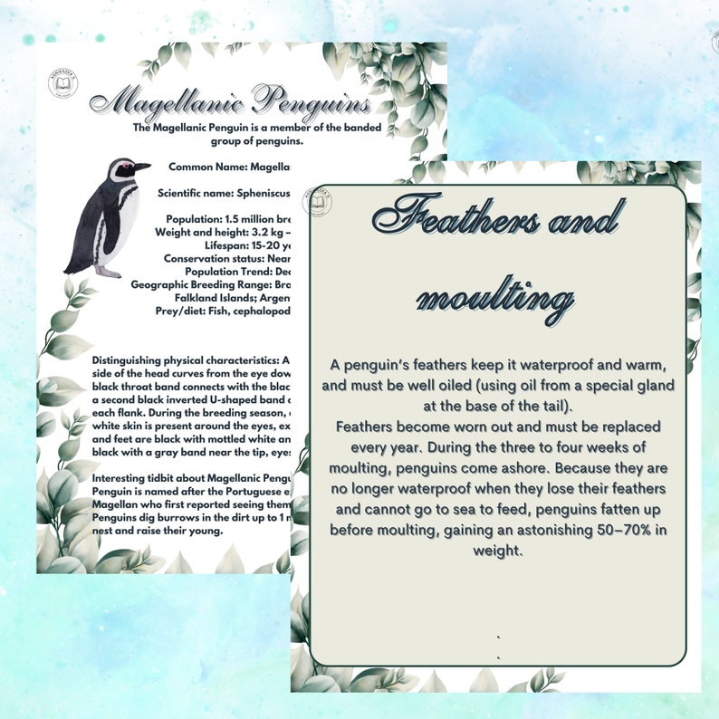 Printable Packet Penguin Unit Study for Kids. Printable - Etsy