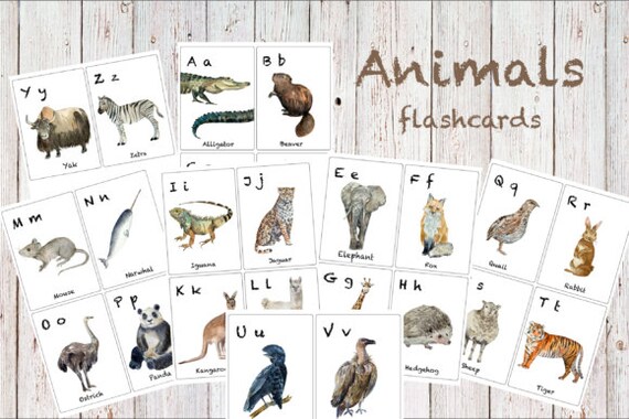 Watercolor ABC Animals Flashcards | Etsy