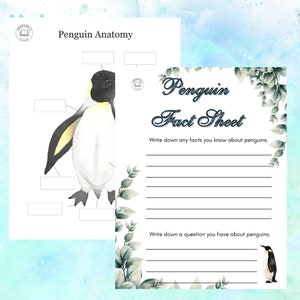Printable Packet Penguin Unit Study for Kids. Printable Holiday's ...