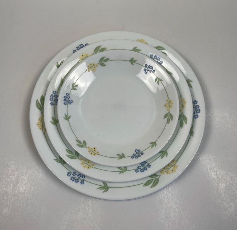 Corelle Secret Garden Dinner, Lunch and Salad Plates - Corning ...