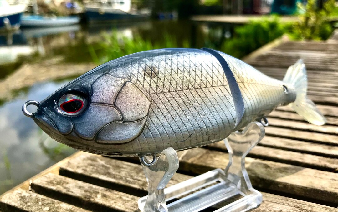 Nemesis Lure ™ KO ES SHAD Swim Bait 15cm 6 Inch - Etsy