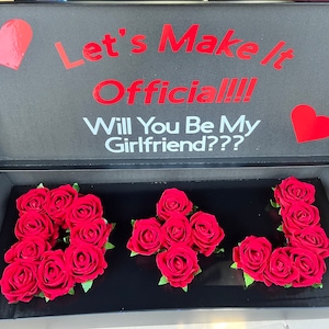 Girlfriend Proposal Rose Box - Etsy