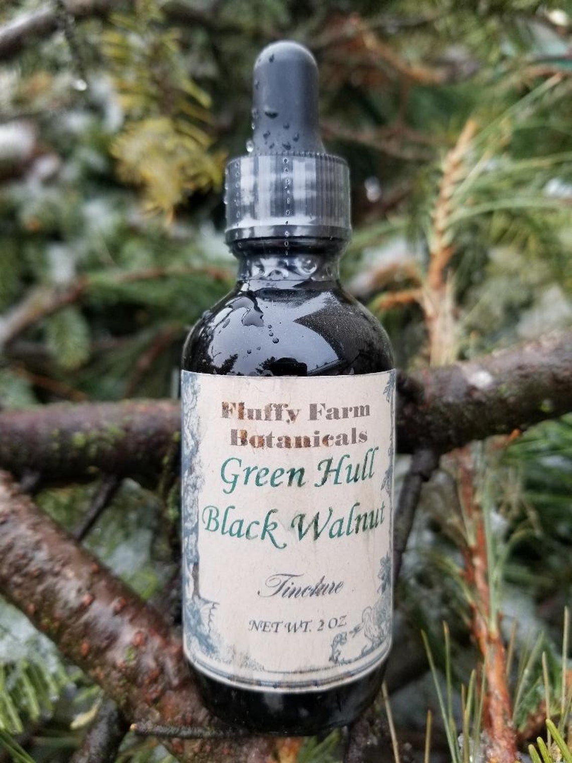Green Hull Black Walnut Tincture - Etsy
