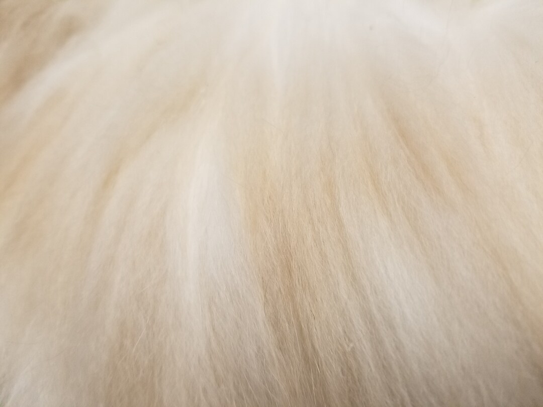 Angora Rabbit Wool ENGLISH 100% CRUELTY FREE & Bunny Friendly Broken ...