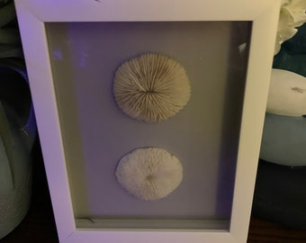 Sand Shadow Box | Etsy