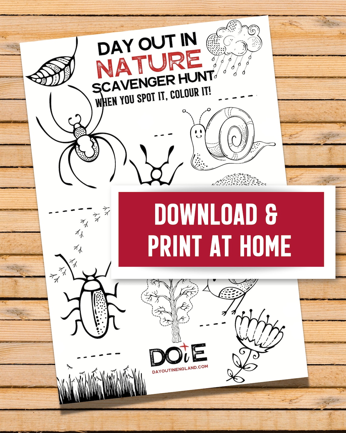Nature Scavenger Hunt Colouring in Sheet for Kids PRINTABLE - Etsy Canada