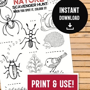 Nature Scavenger Hunt Colouring in Sheet for Kids PRINTABLE - Etsy Canada