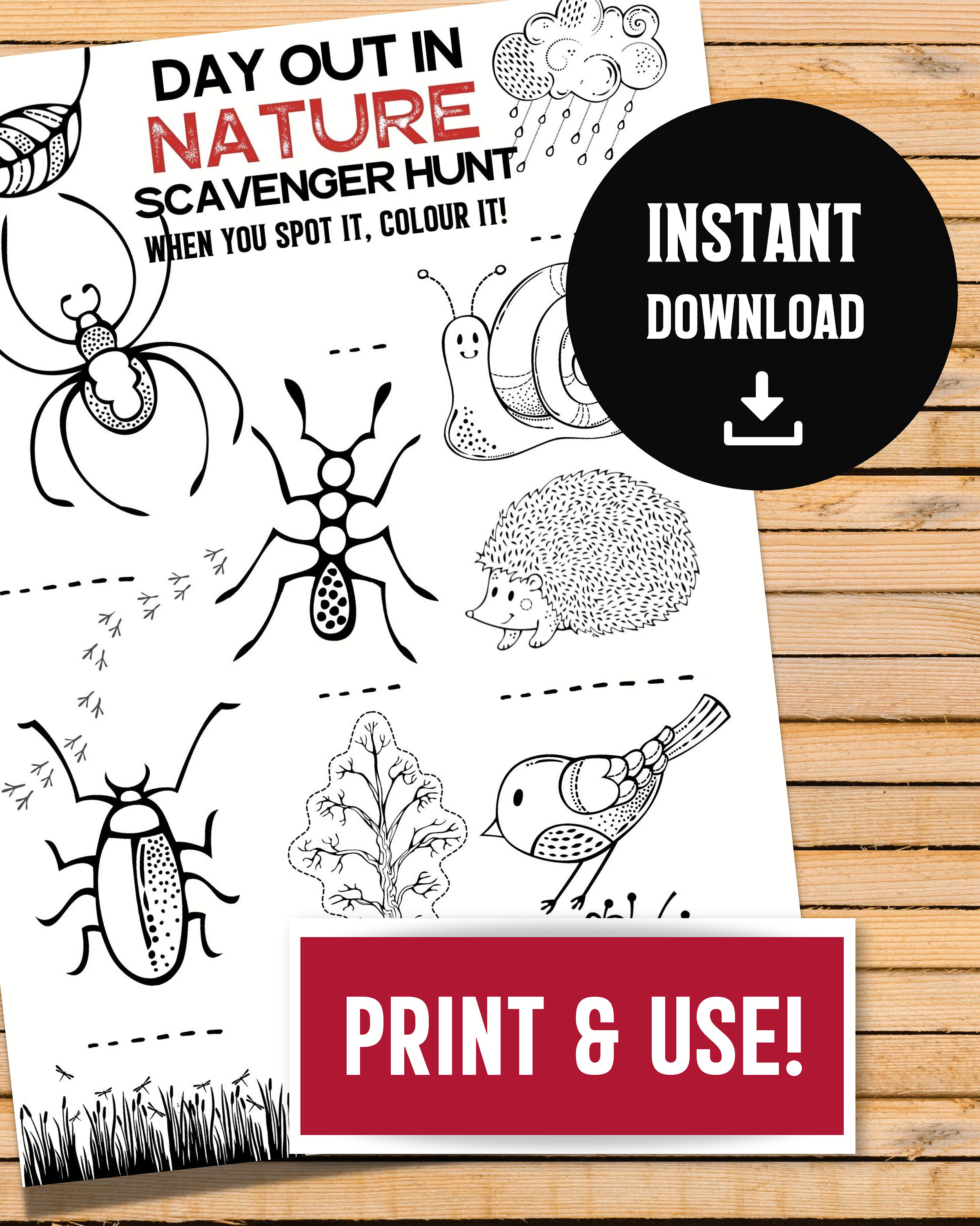 Nature Scavenger Hunt Colouring in Sheet for Kids PRINTABLE - Etsy Canada