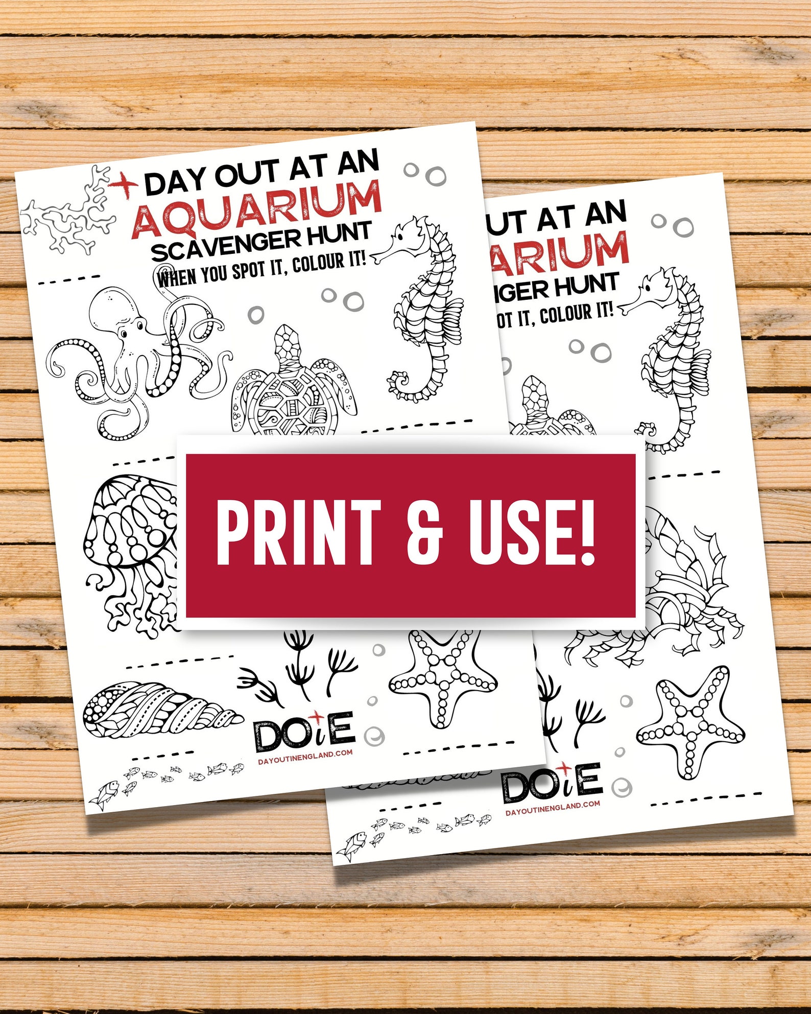Aquarium Scavenger Hunt Colouring in Sheet for Kids PRINTABLE - Etsy