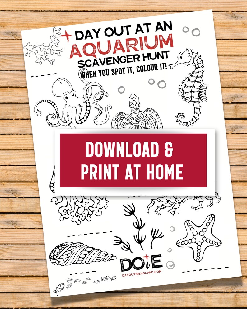 Aquarium Scavenger Hunt Colouring in Sheet for Kids PRINTABLE - Etsy